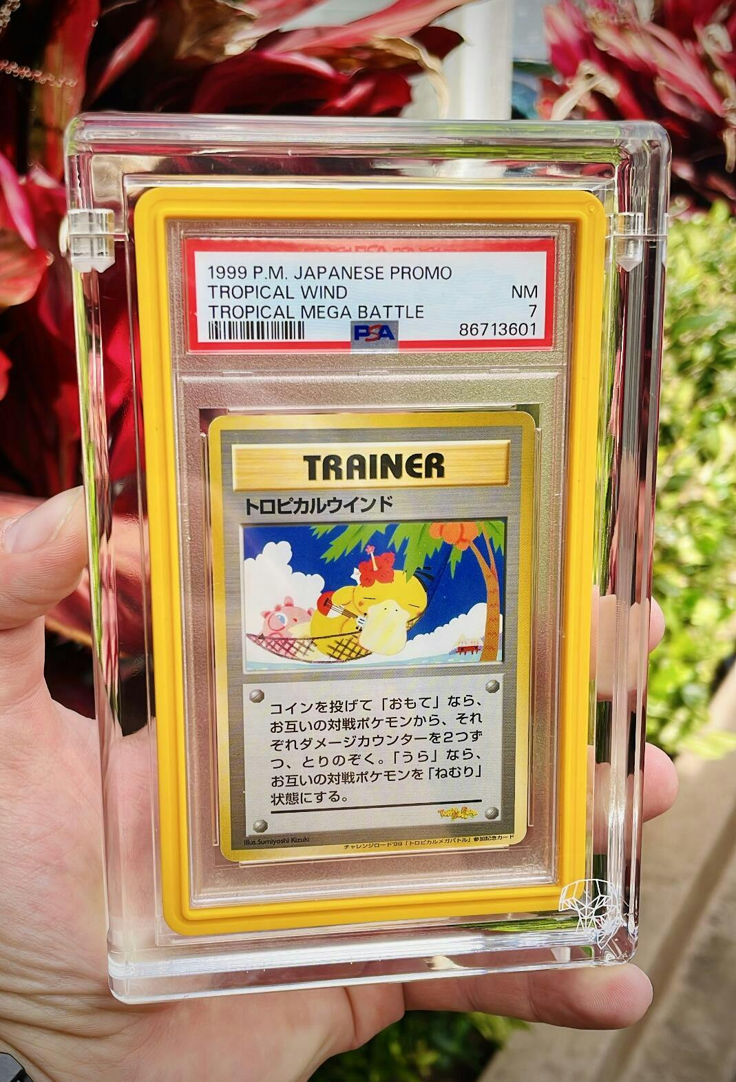 Phantom Display x GradedGuard Acrylic Display Cases