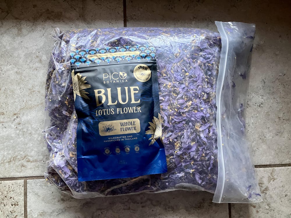 Blue Lotus Flower – PicoBotanica