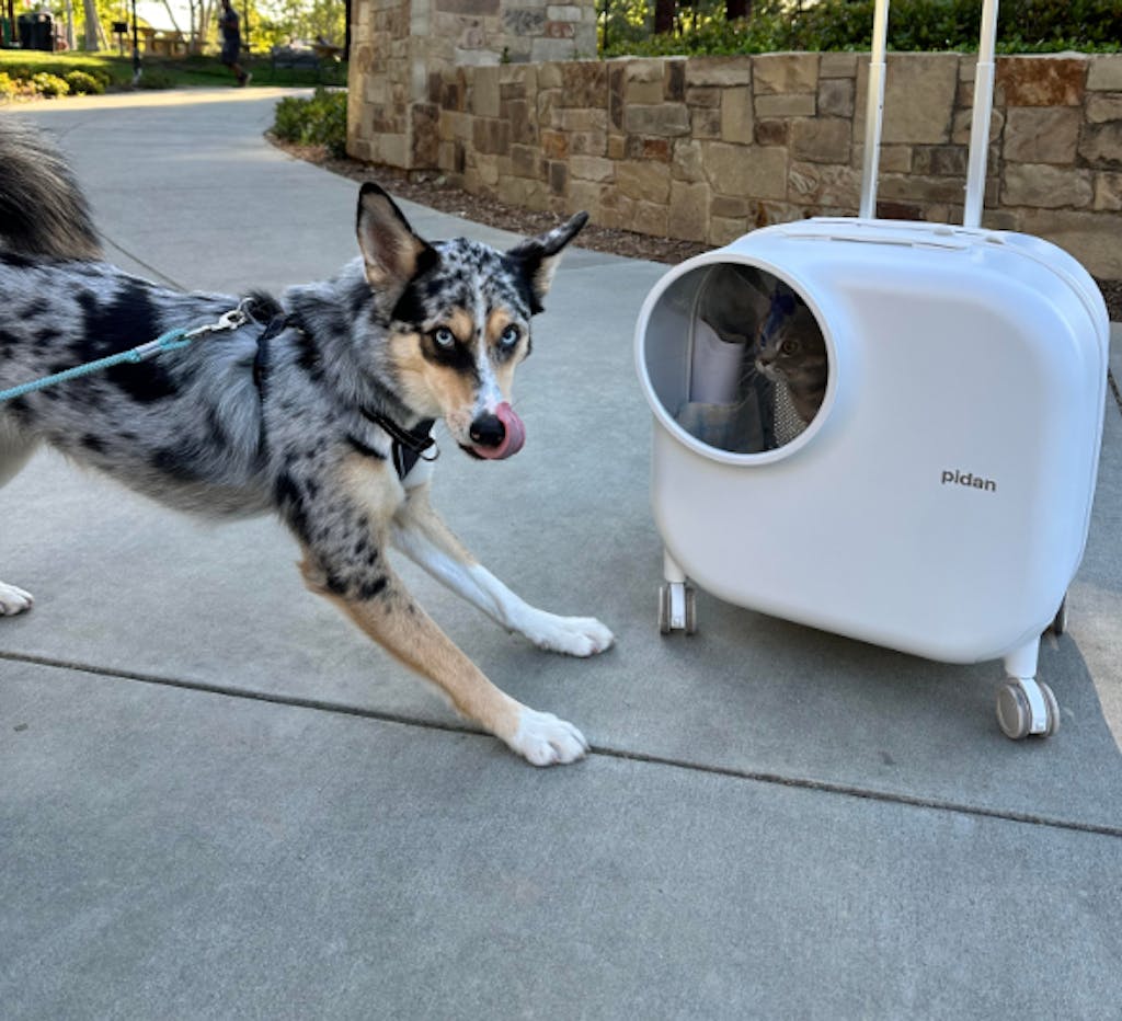 Smart Pet Traveler with LED lights and Ventilation System – pidan