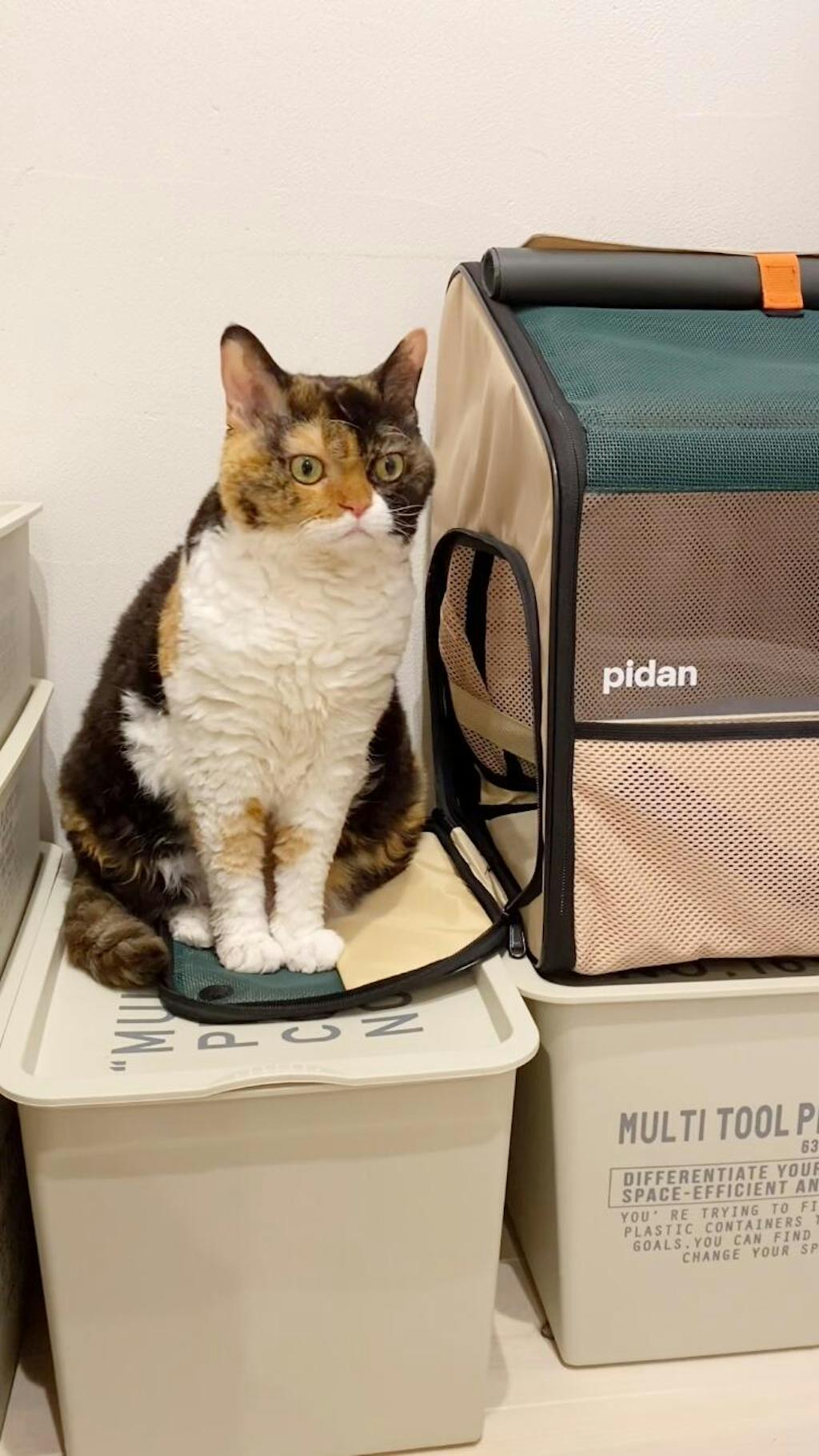 ペット用折りたたみ式ハウス型トラベルリュック – pidan