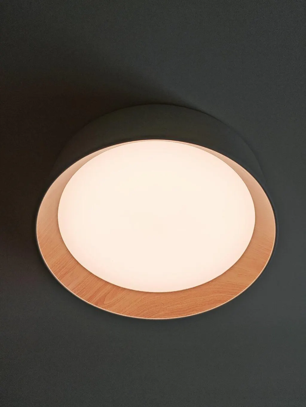 Contemporary Simple Circle Ceiling Light | Modern 3 Light Glass Flush ...