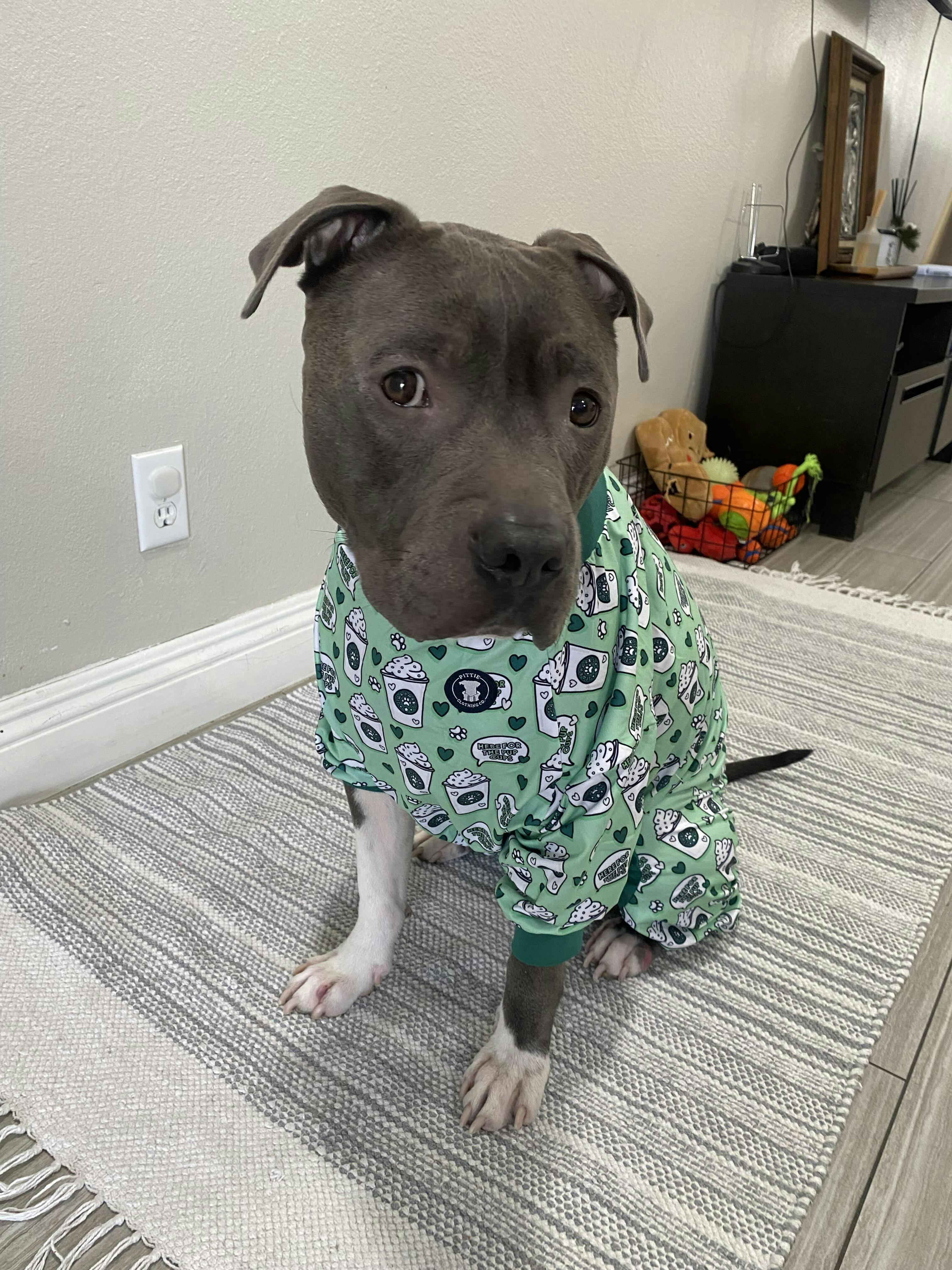 'Brews before Chews' Pit bull Pajamas- Green – Pittie Clothing Co.