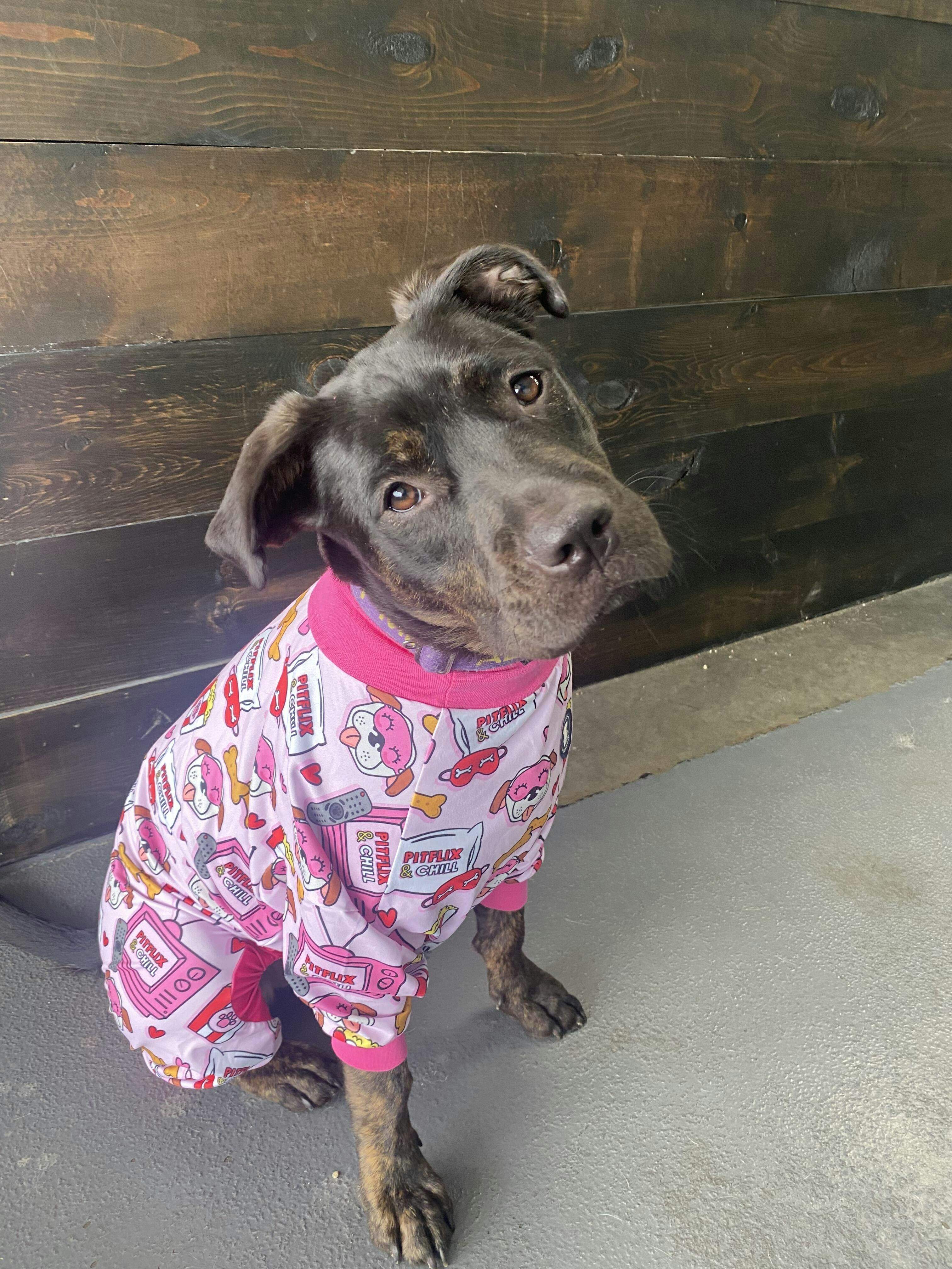 'Lazy Bones' Pit bull Pajamas – Pittie Clothing Co.