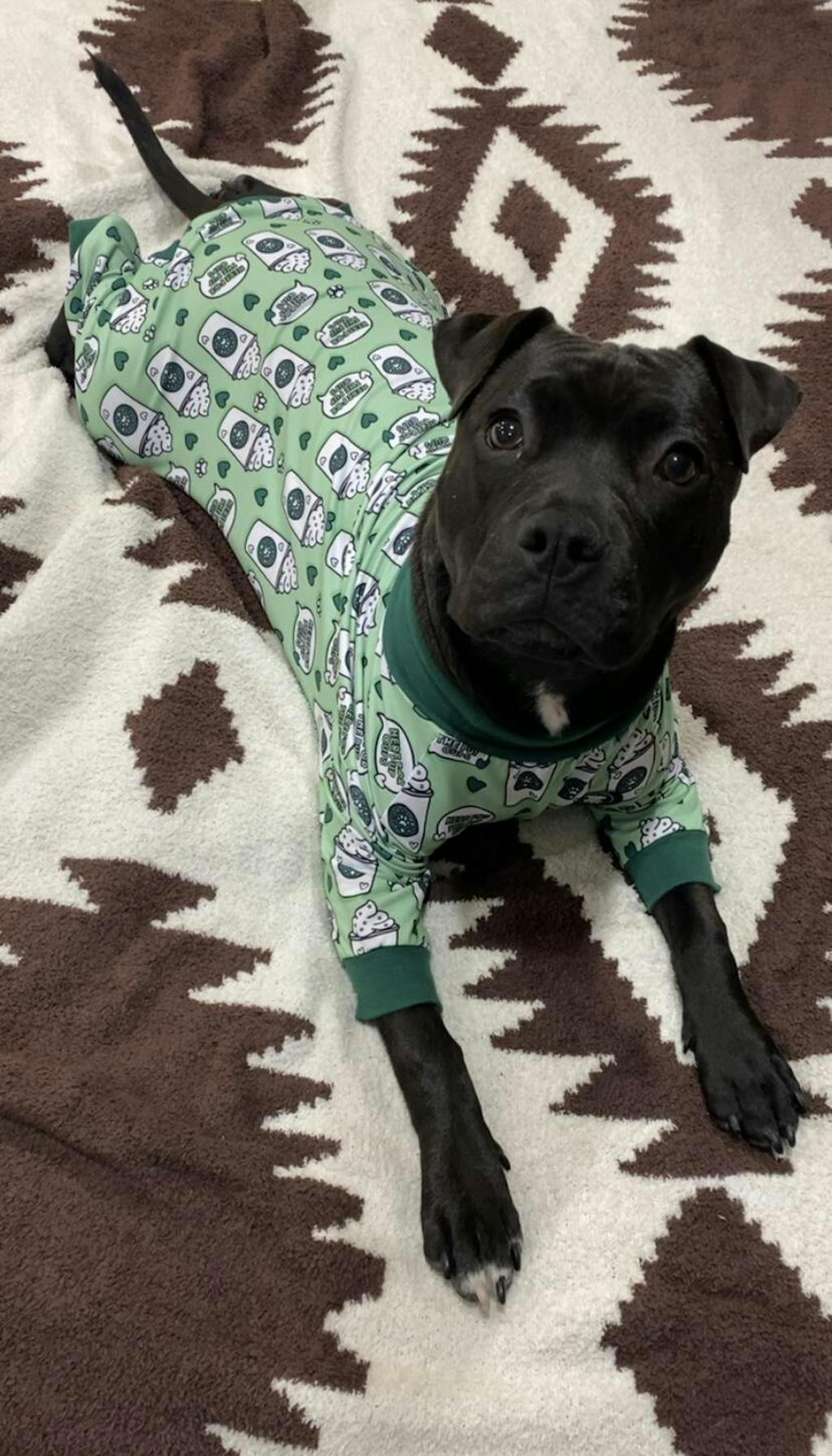 Pink 'Pitty-potamus' Pit bull Pajamas – Pittie Clothing Co.