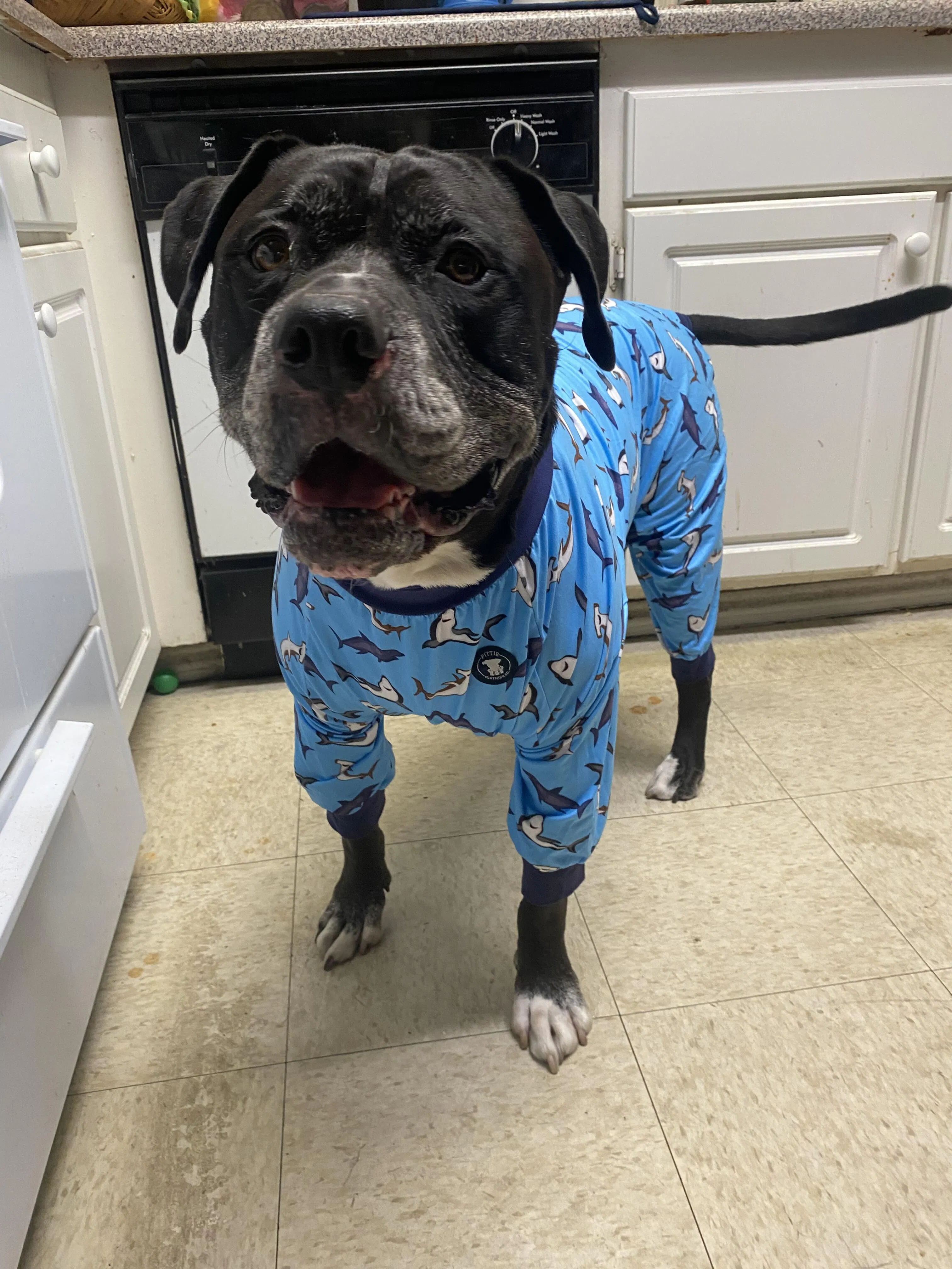 'Brews before Chews' Pit bull Pajamas- Green – Pittie Clothing Co.