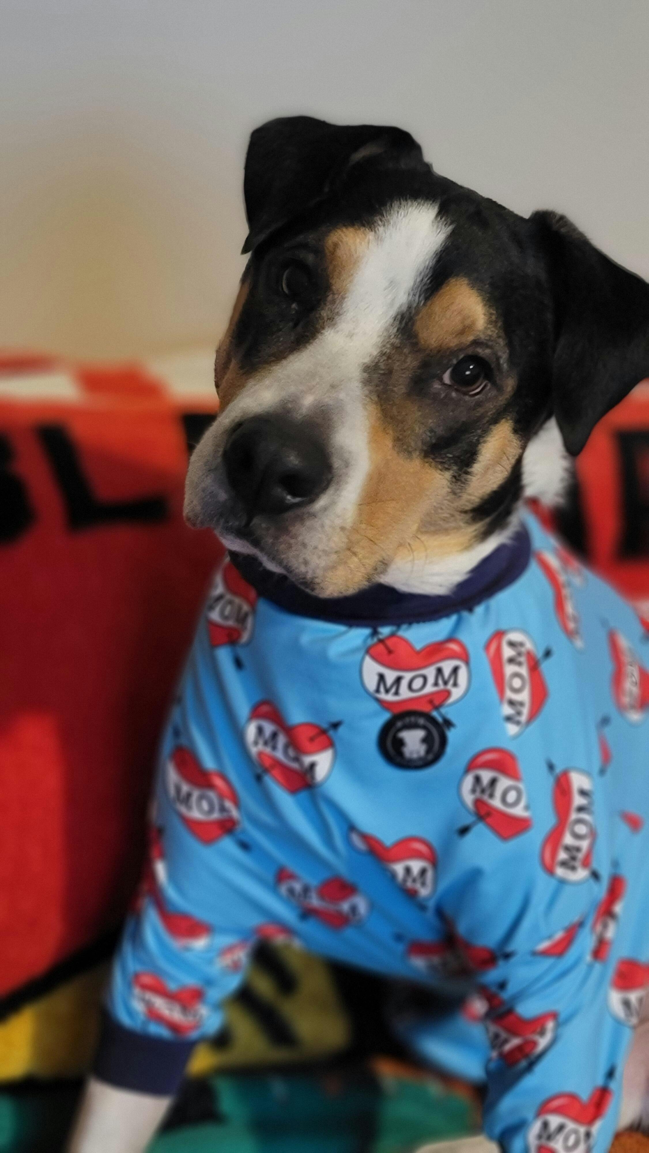 Black ‘Sugar Skull' Pit bull Pajamas – Pittie Clothing Co.
