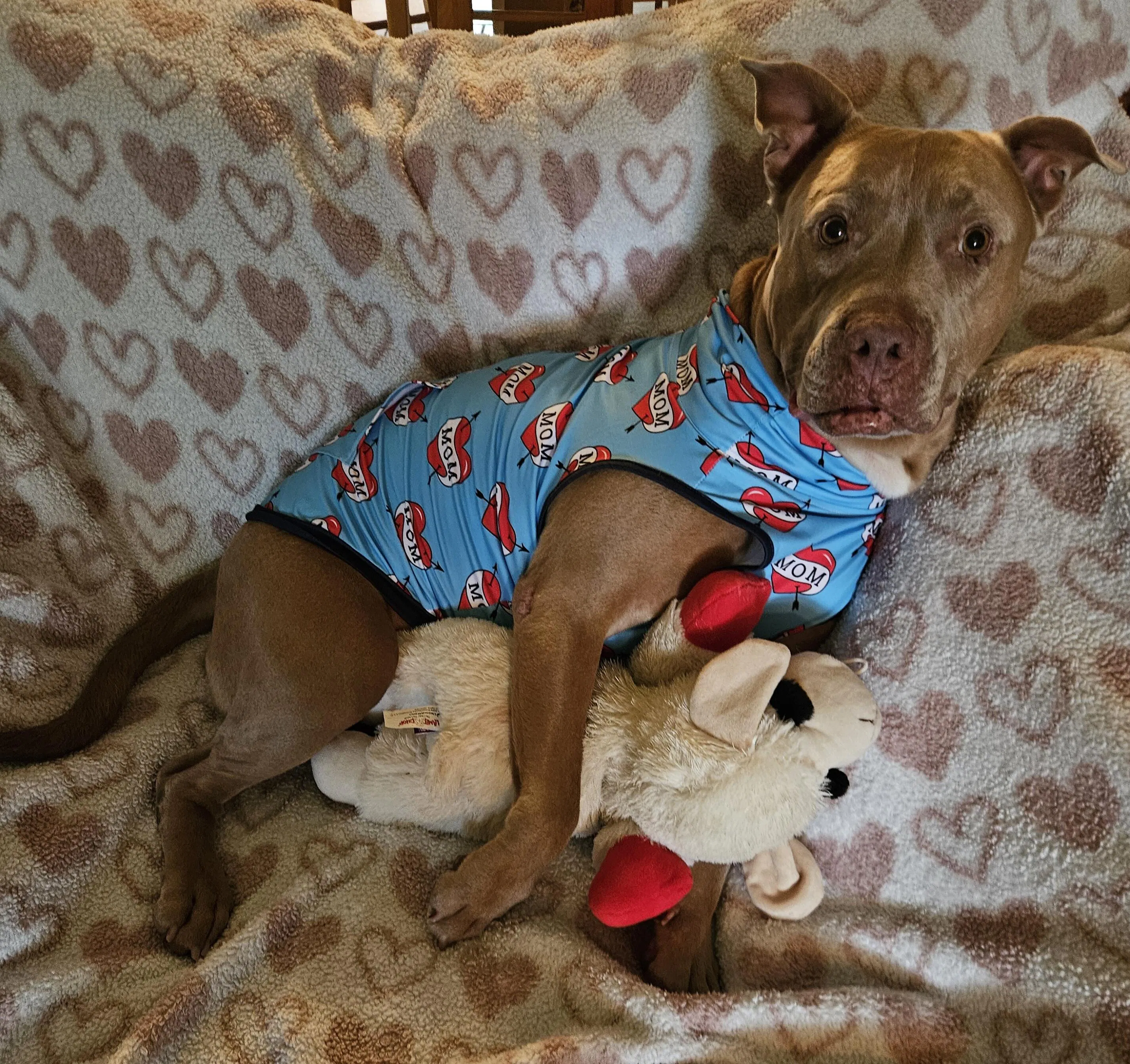 'Lazy Bones' Pit bull Pajamas – Pittie Clothing Co.