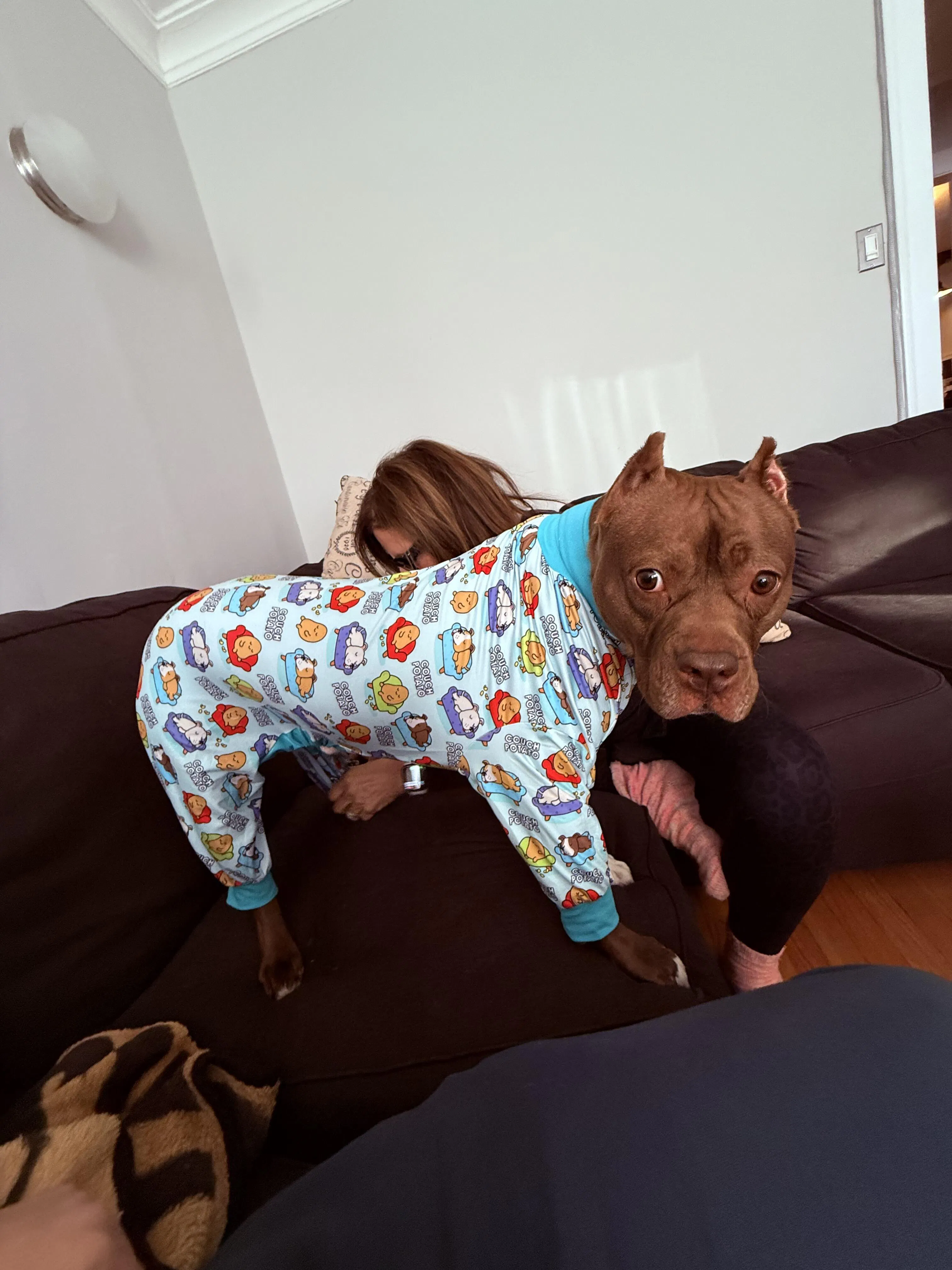 'Lazy Bones' Pit bull Pajamas – Pittie Clothing Co.