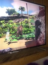 ARK: Survival Evolved | Windows Mac Linux | Steam Digital Download | PJ ...