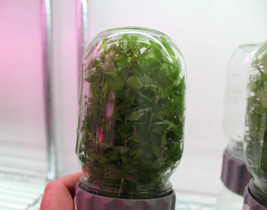 Biocoupler® Bundle - Plant Cell Technology
