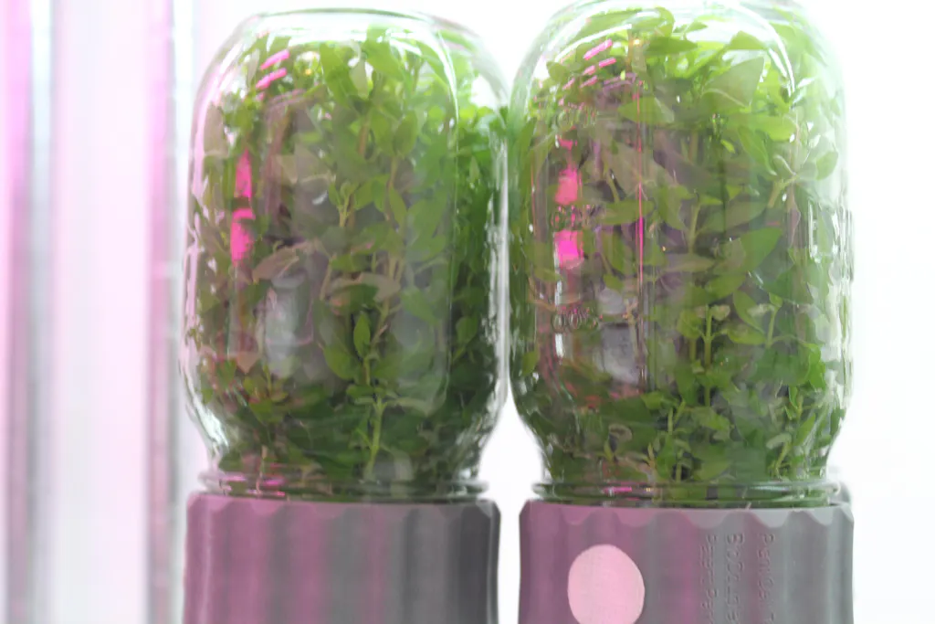 Biocoupler® Bundle - Plant Cell Technology