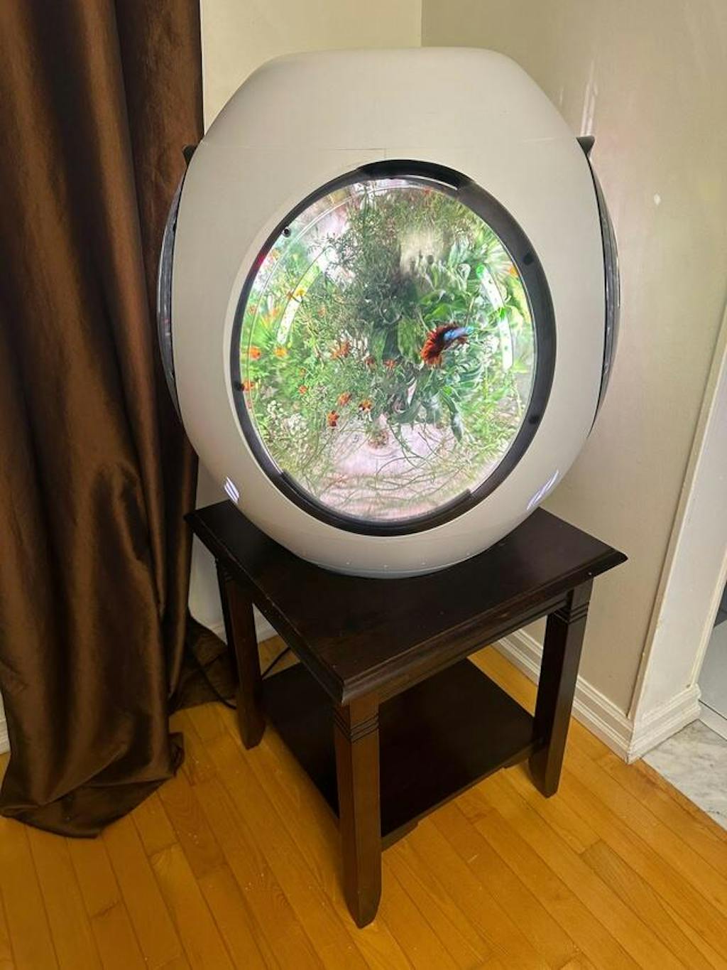 Smart Indoor Garden - Plantaform