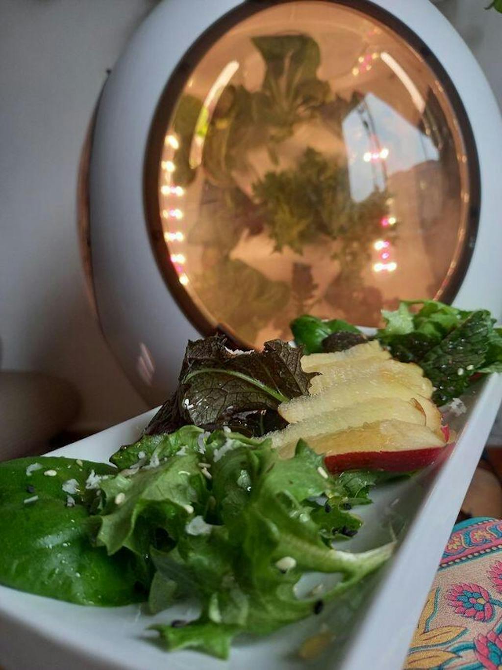 Smart Indoor Garden - Plantaform