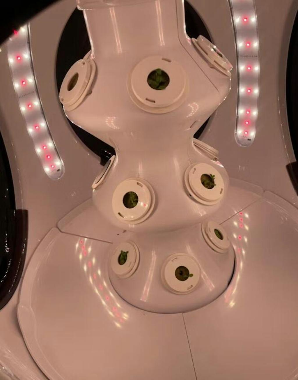 Smart Indoor Garden - Plantaform