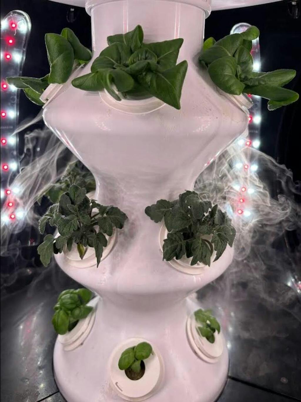 Smart Indoor Garden - Plantaform