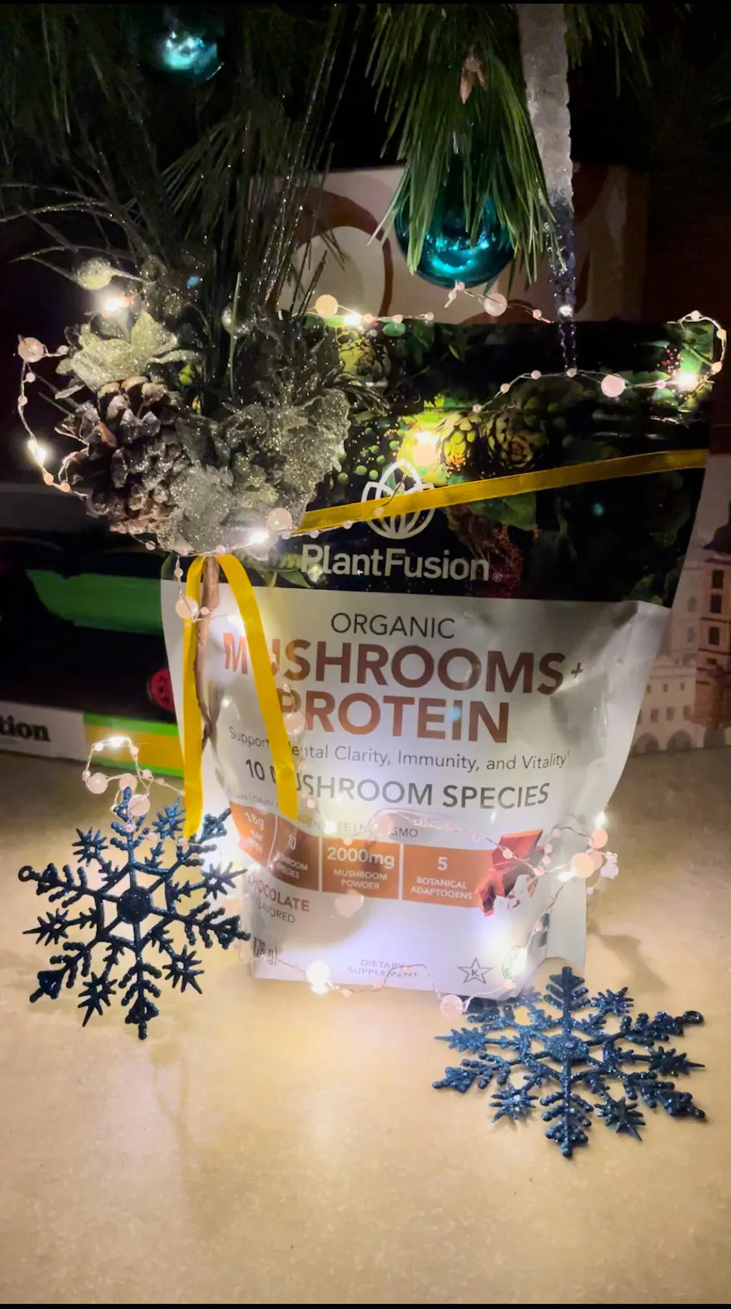 Mushroom Protein Powder By PlantFusion
