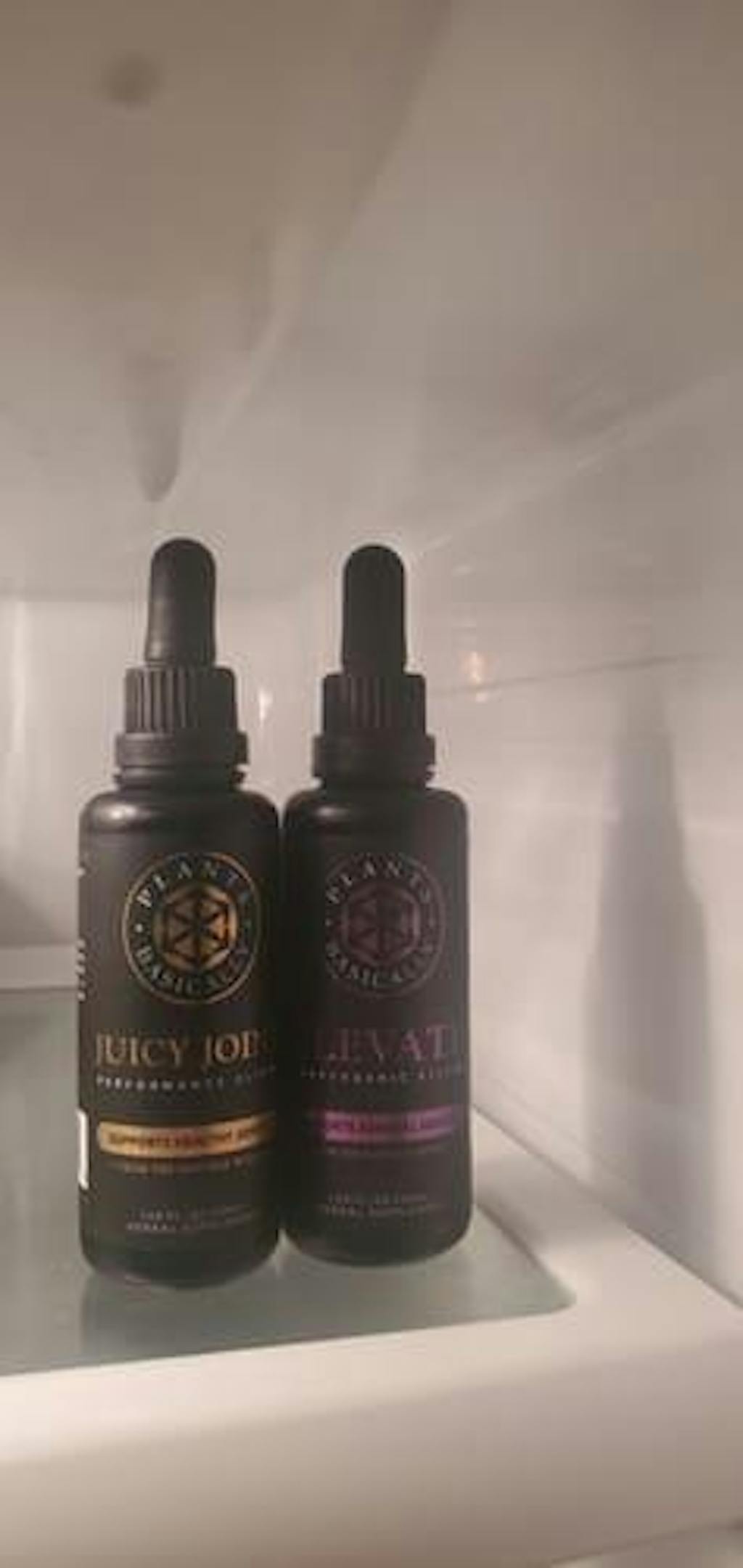 Athletic Bundle – PLANTSBASICALLY