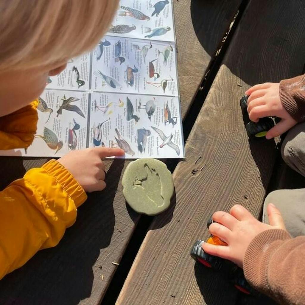 Let's Investigate - Woodland Footprints Play Dough Stamps – Play Planet