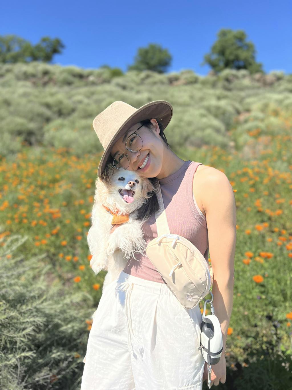 The Bailey Kit, 1st Edition – Playfield