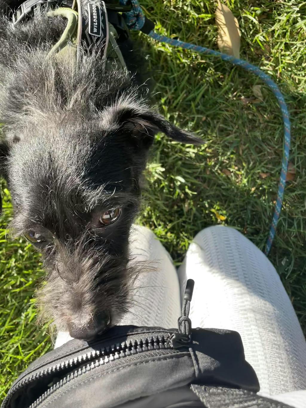 The Bailey Kit, 1st Edition – Playfield