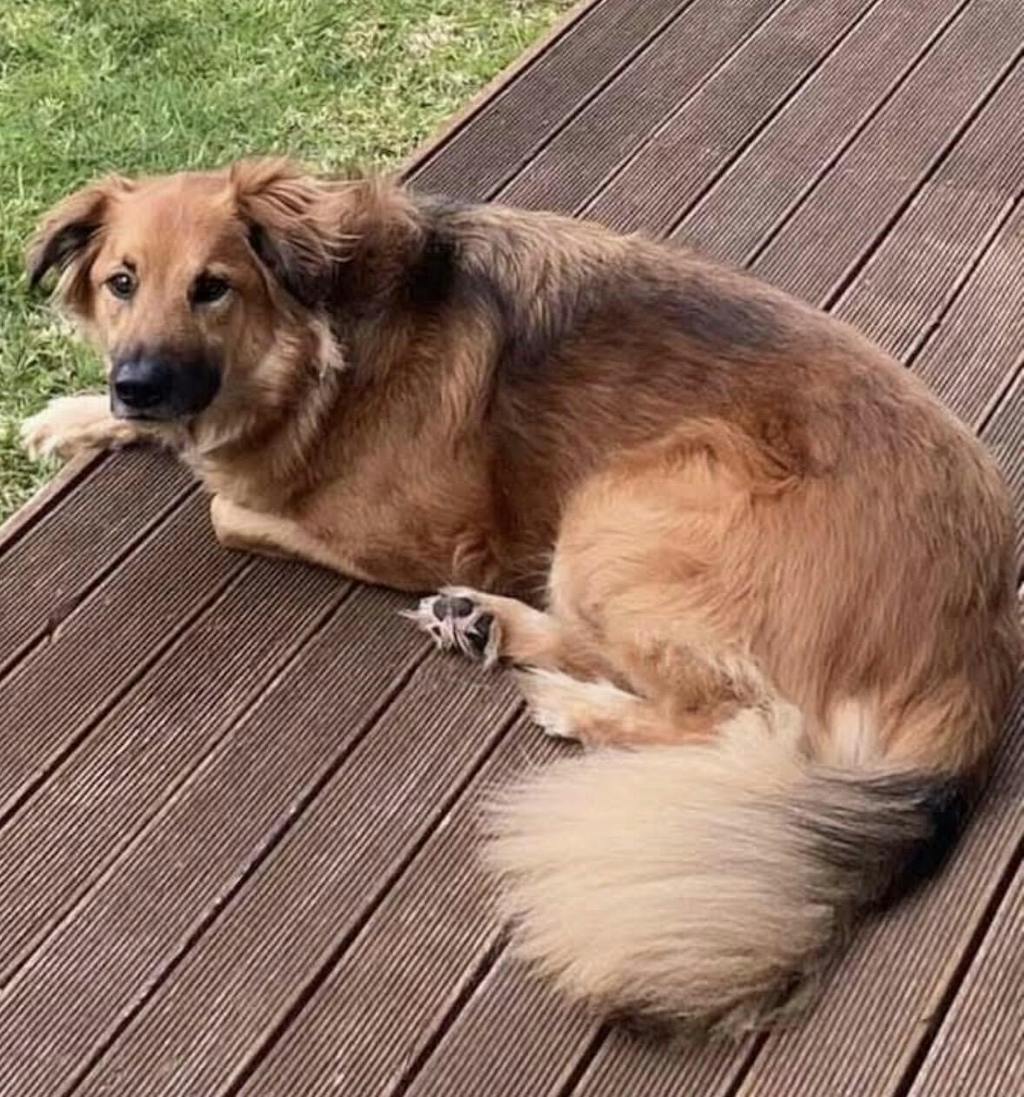 Personalised Flower Acrylic Bag Tag – Plazmart NZ