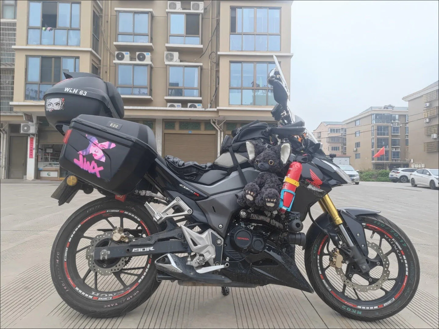 Cute Black Devon Rex Cat Plush - PlushThis| Plushies & Stuffed Animals