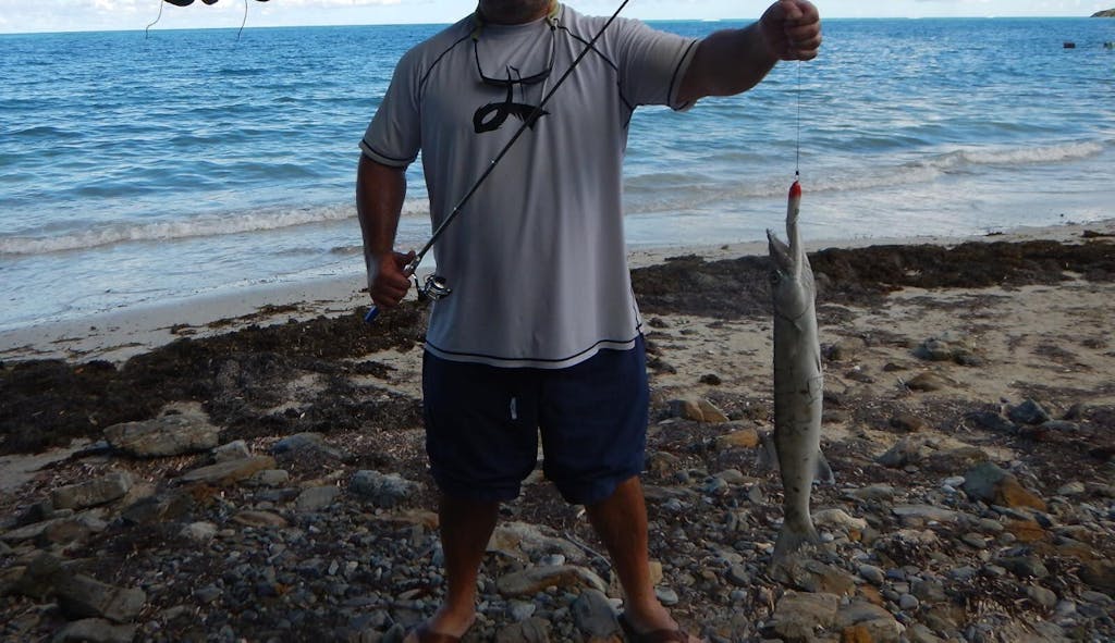 Pocket Rod – Pocket Rod Official™