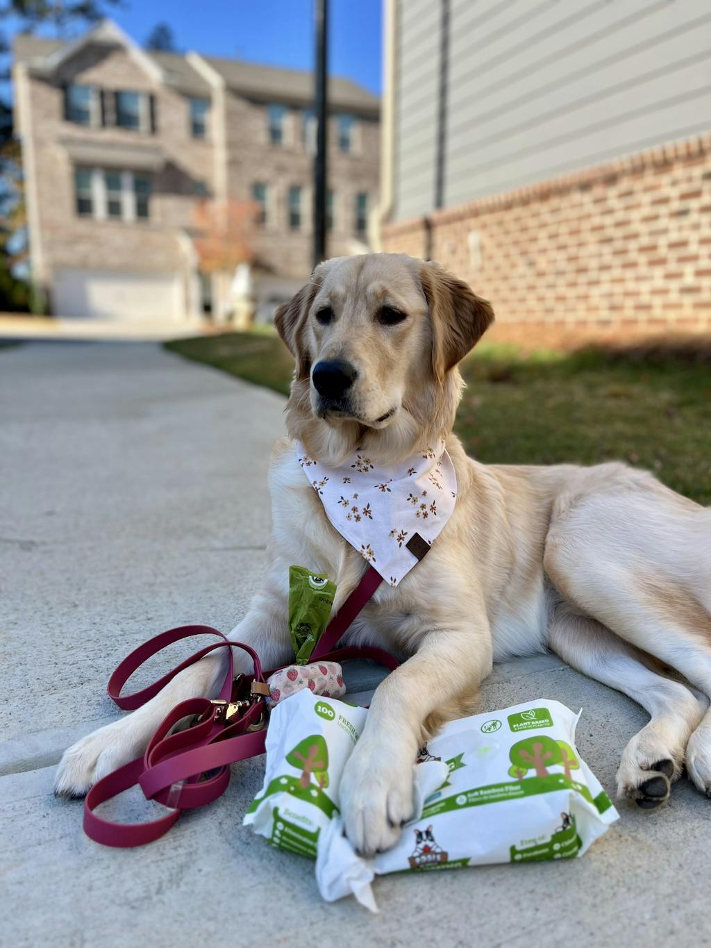 Plant Based Dog Grooming Wipes | Dog Bathing Wipes - Pogi's – Pogi's ...