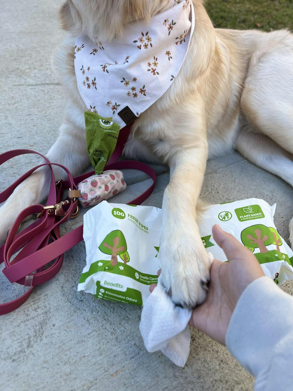 Plant Based Dog Grooming Wipes | Dog Bathing Wipes - Pogi's – Pogi's ...