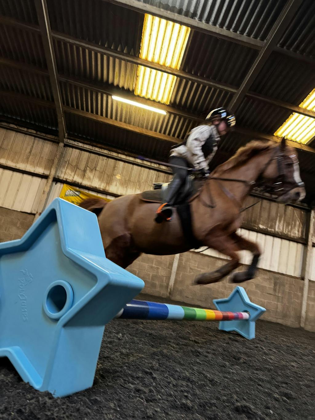 Plastic Horse Jump Blocks | PolyJumps®