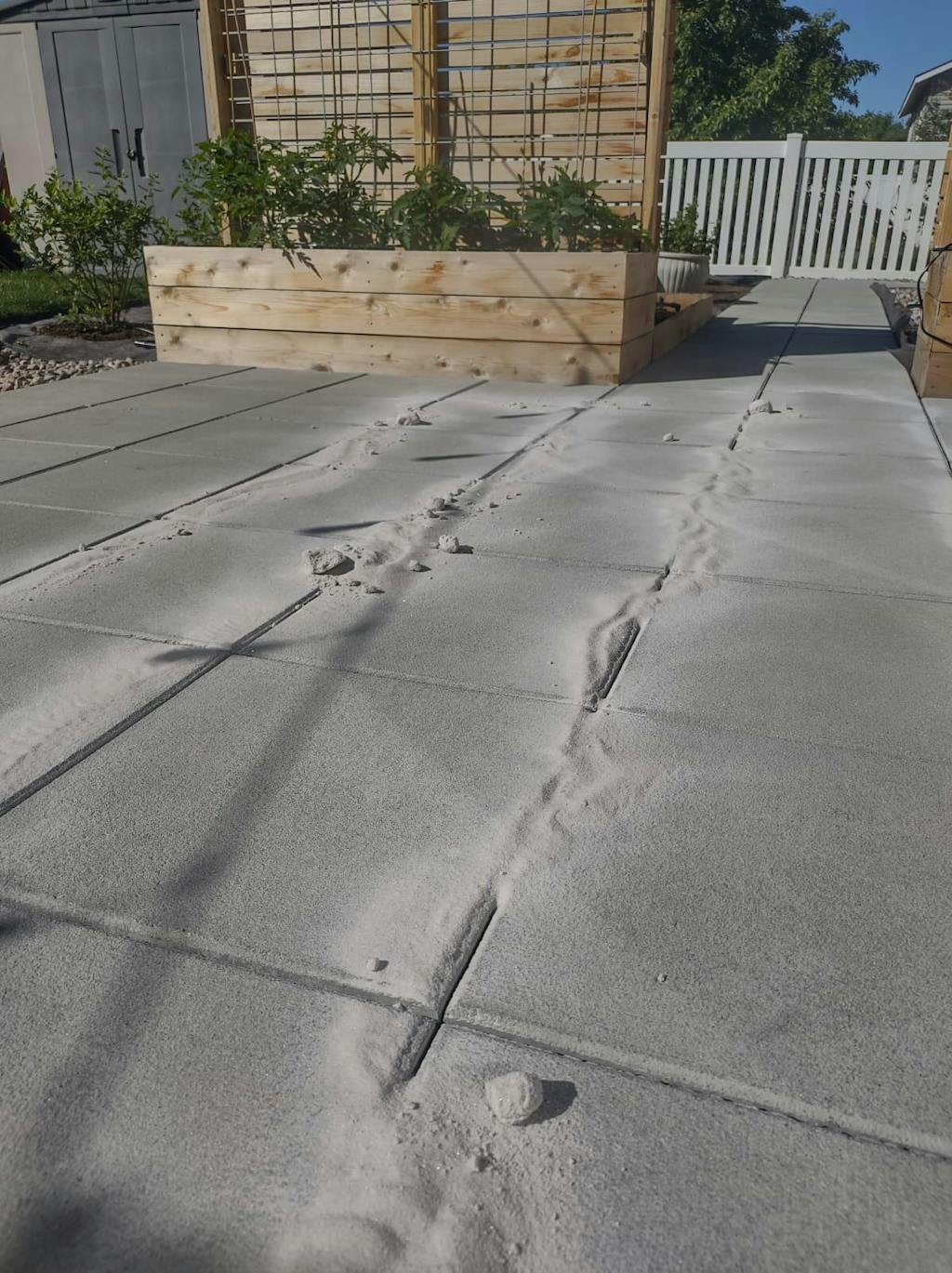 Polysweep Polymeric Sand — Polymeric Sand Store