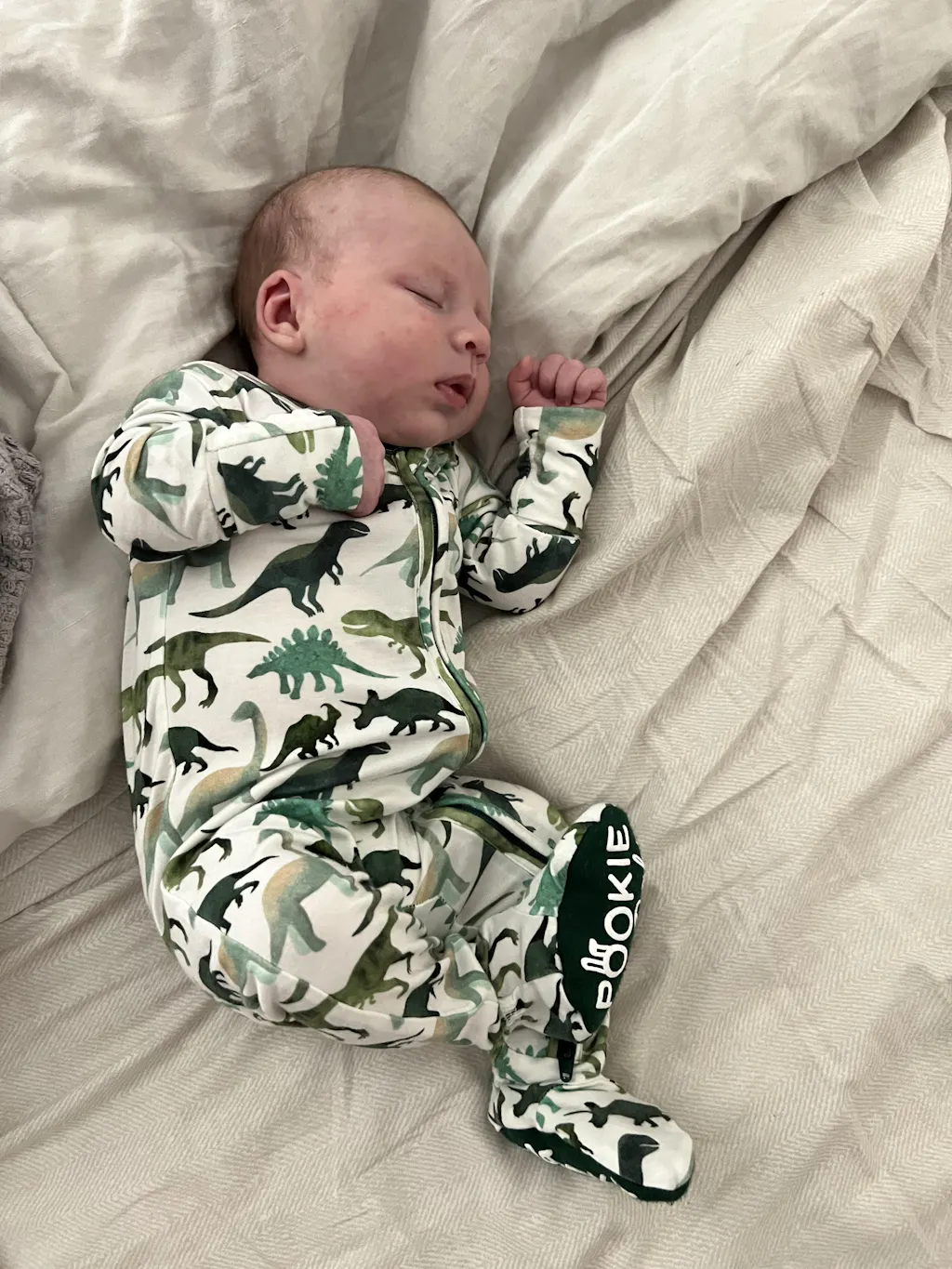 Dinosaur Bamboo Viscose Pookie Jamas Zipper Footies – Pookie Baby Boutique