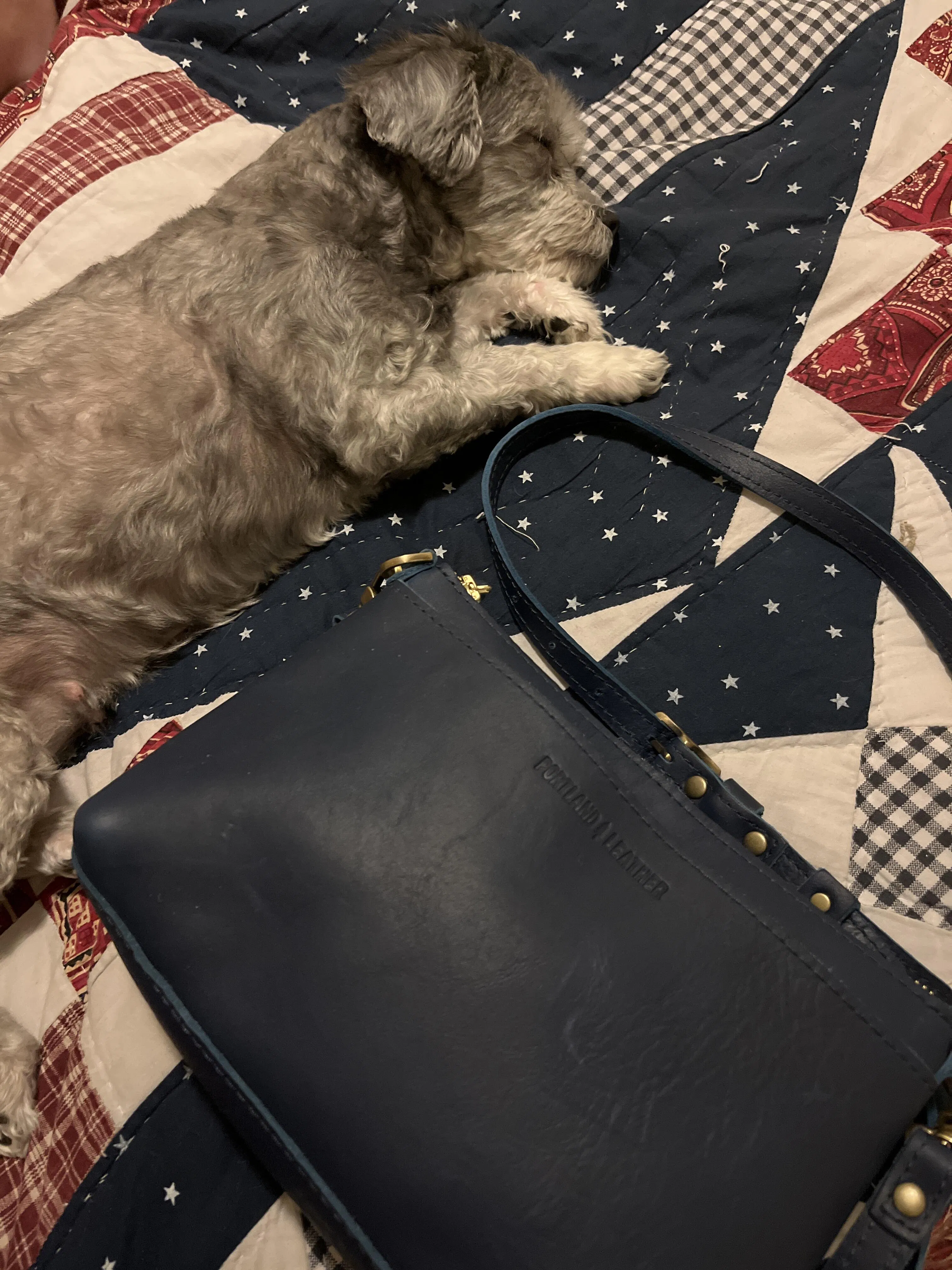 'Almost Perfect' Poppy Purse | Portland Leather Goods
