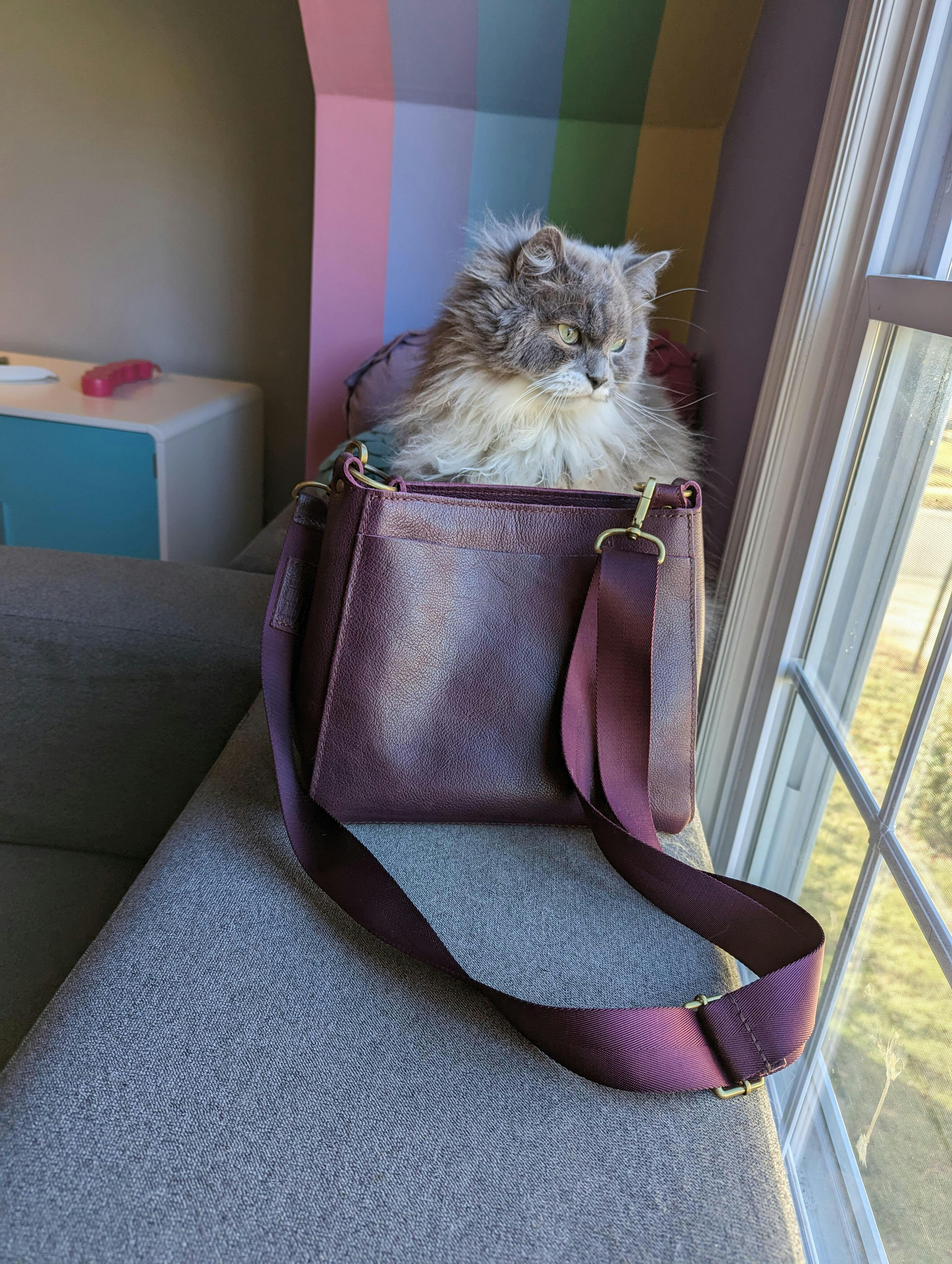 Almost Perfect' Triangle Shoulder Bag | Portland Leather Goods