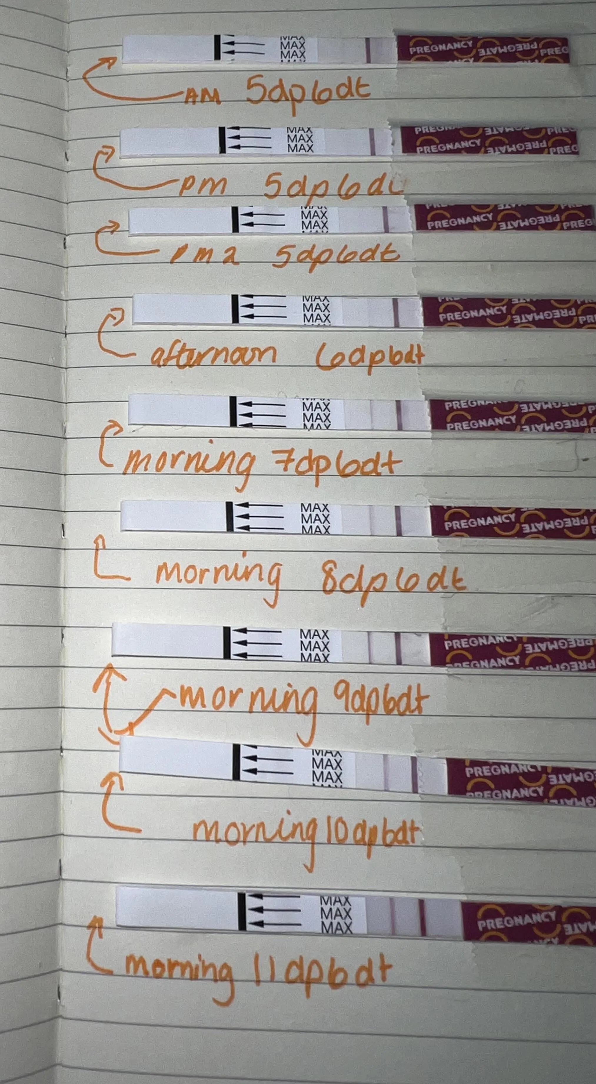 Pregmate Pregnancy Test Strips – PREGMATE