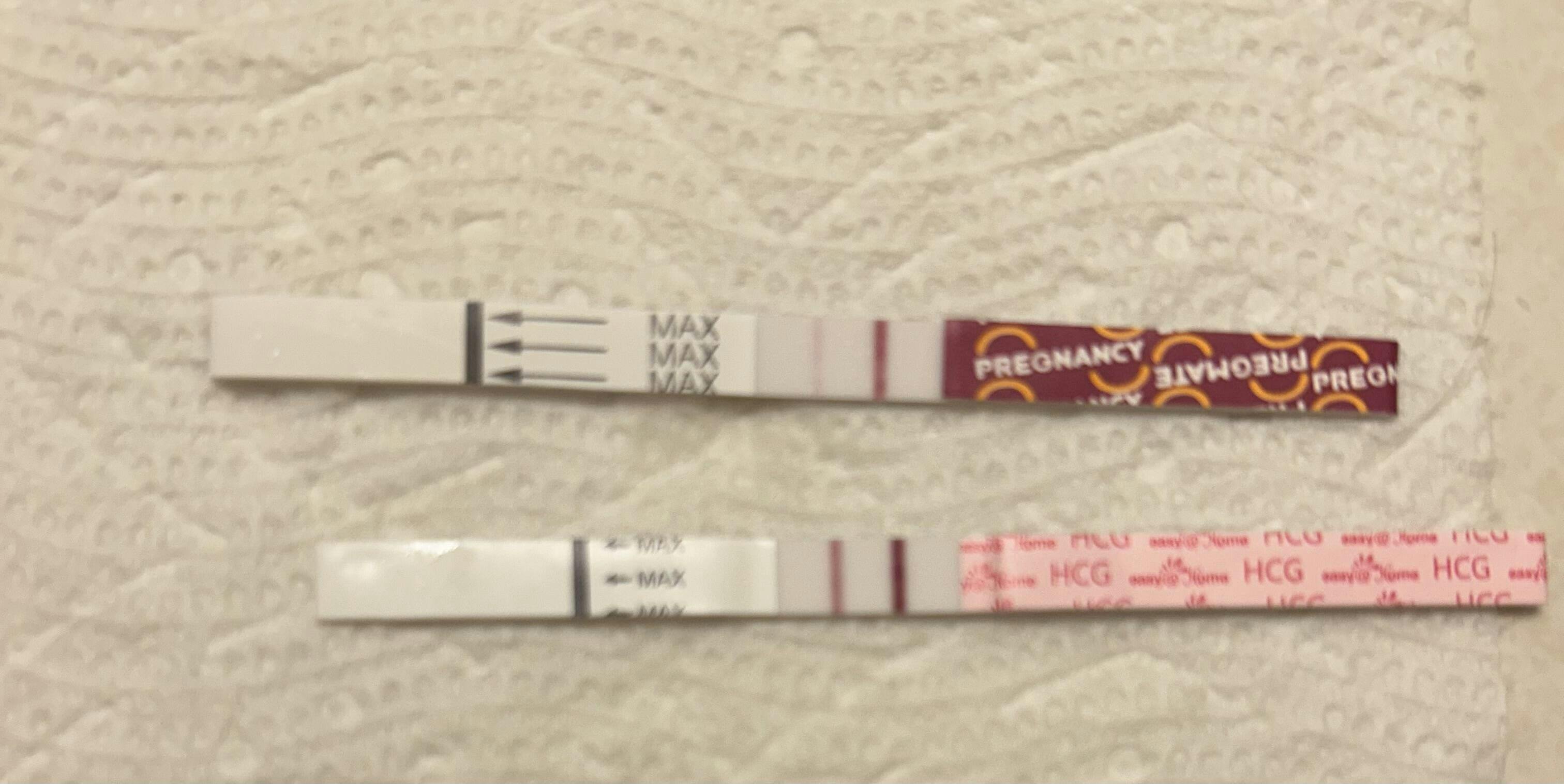 Pregmate Pregnancy Test Strips – PREGMATE