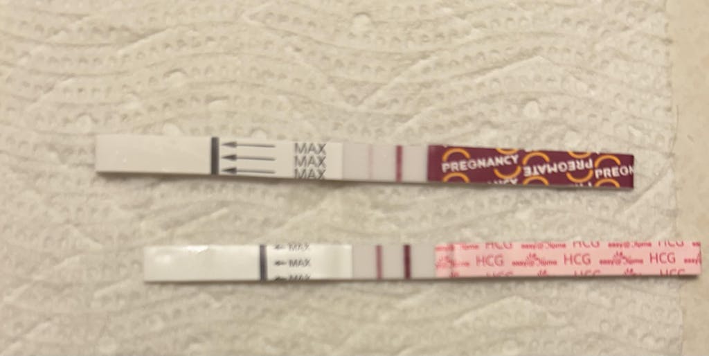 Pregmate Pregnancy Test Strips – PREGMATE