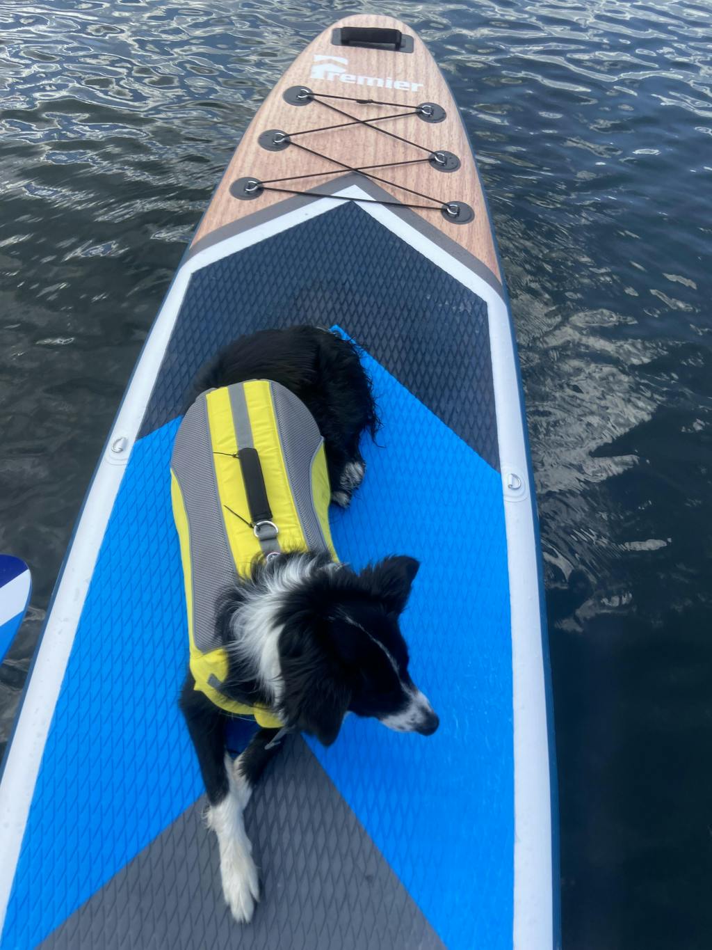 The best paddle board for yoga and taller people - Premier Performer ...