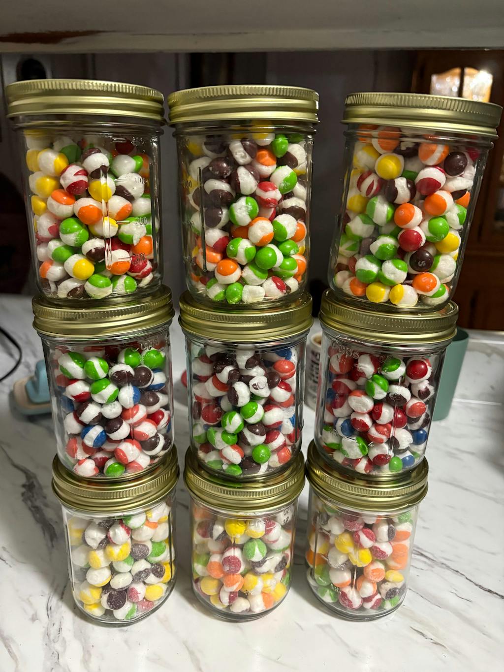 Harvest Right Medium Home Pro Freeze Dryer with Premier Vacuum Pump, 5