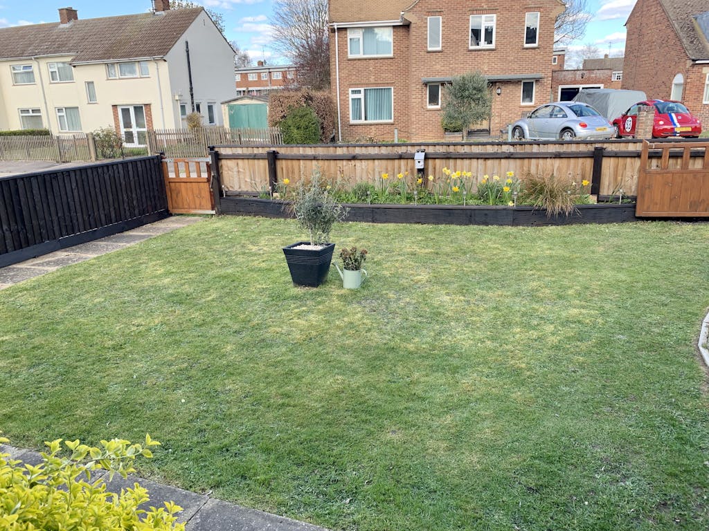 Paintmaster - Heavy Duty Shed & Fence Creosote Paint - 20 Litre ...