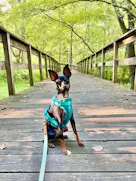 PRÊT-À-PUPPY | Premium Dog Goods | Handmade Dog Collars & Leashes