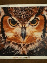 Cherokee Owl 5D Round Diamond Painting