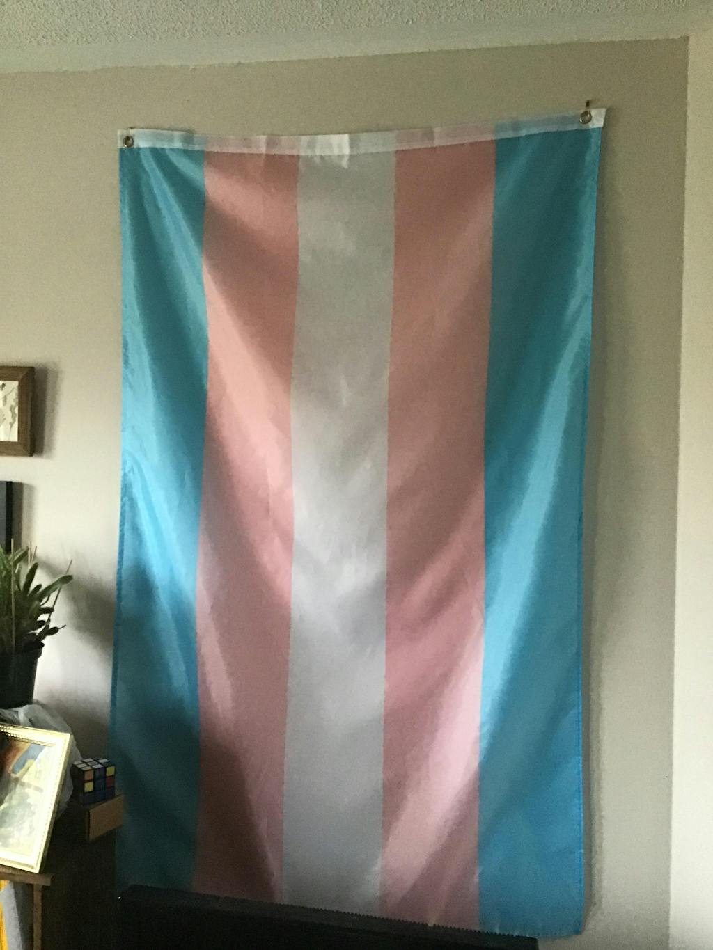 Transgender Pride Flag – Pride Palace