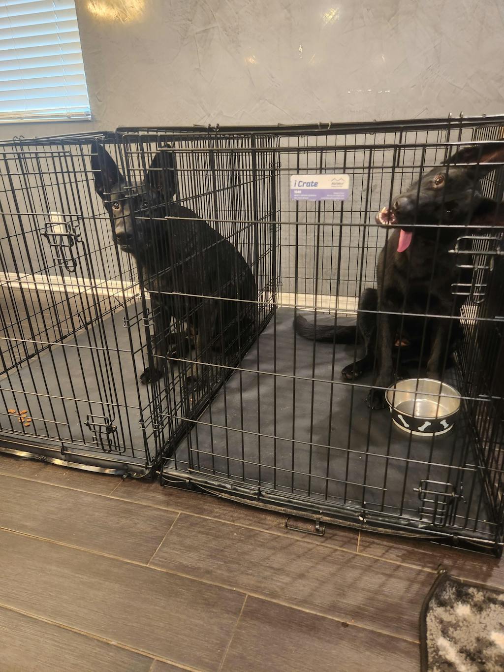 Wire Crate Pads | Primo Pads