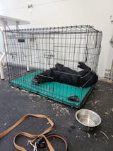 Vari Kennel | Primo Pads