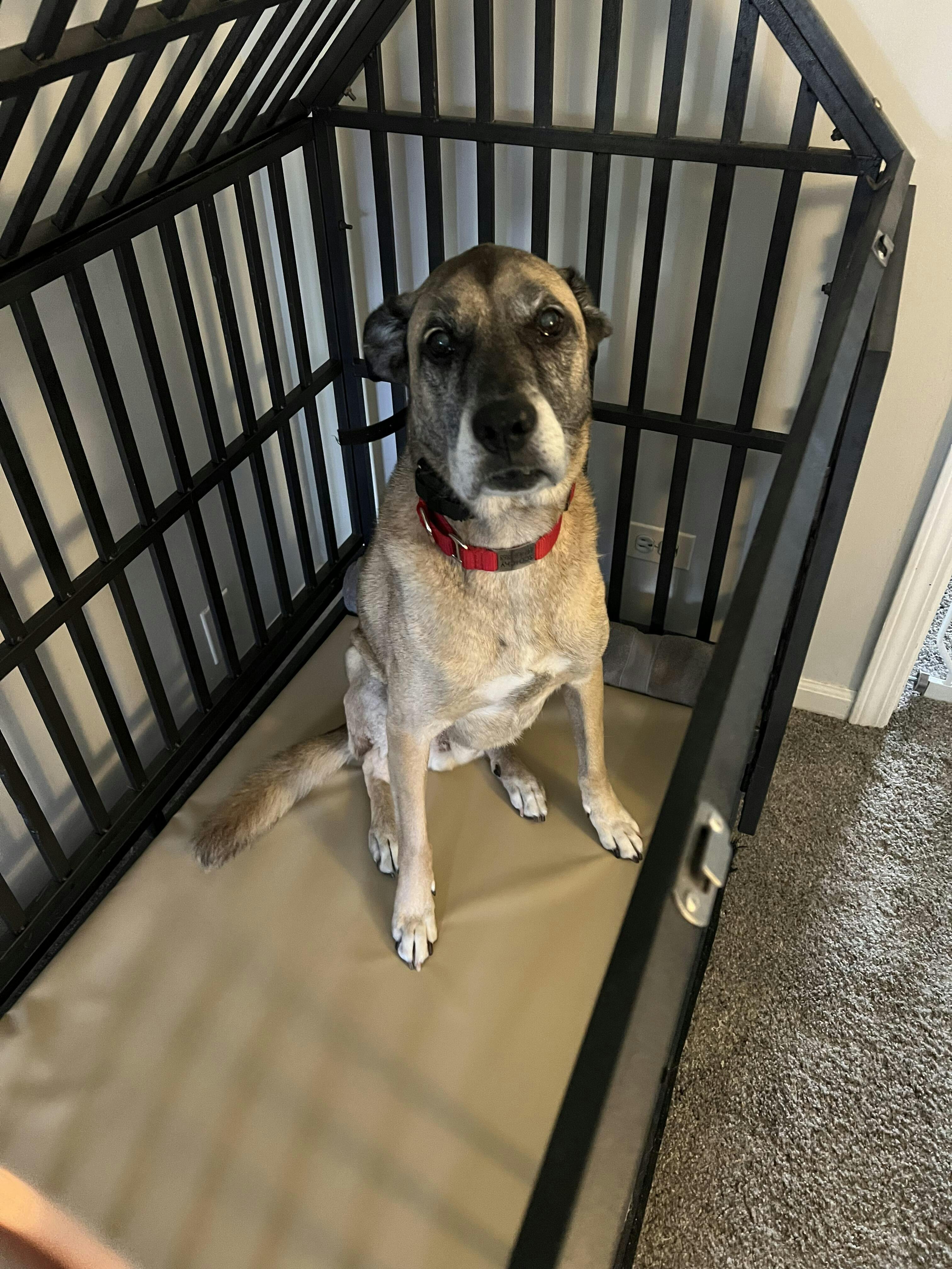 Impact Crate Pads | Primo Pads