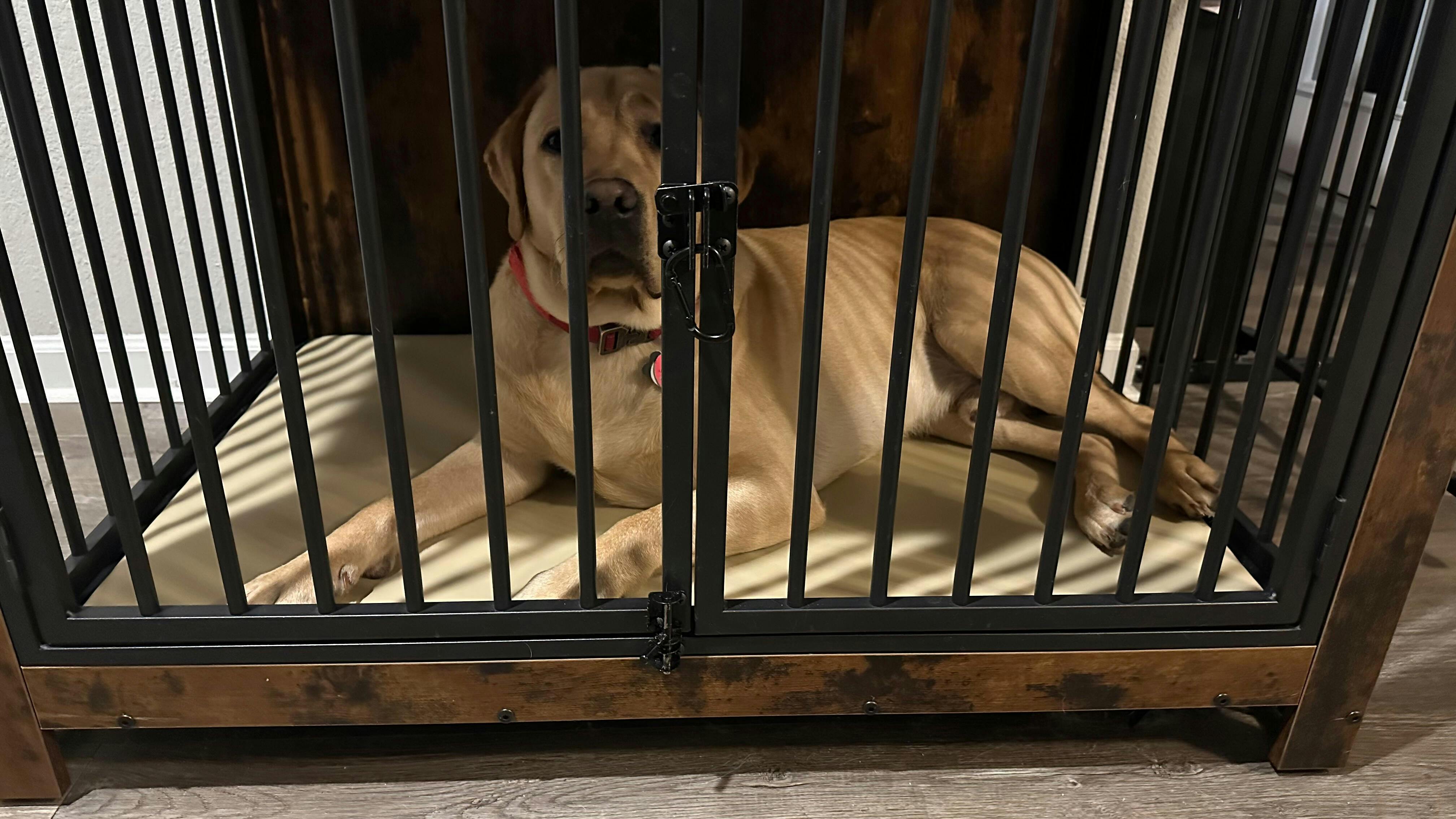 Wire Crate Pads | Primo Pads