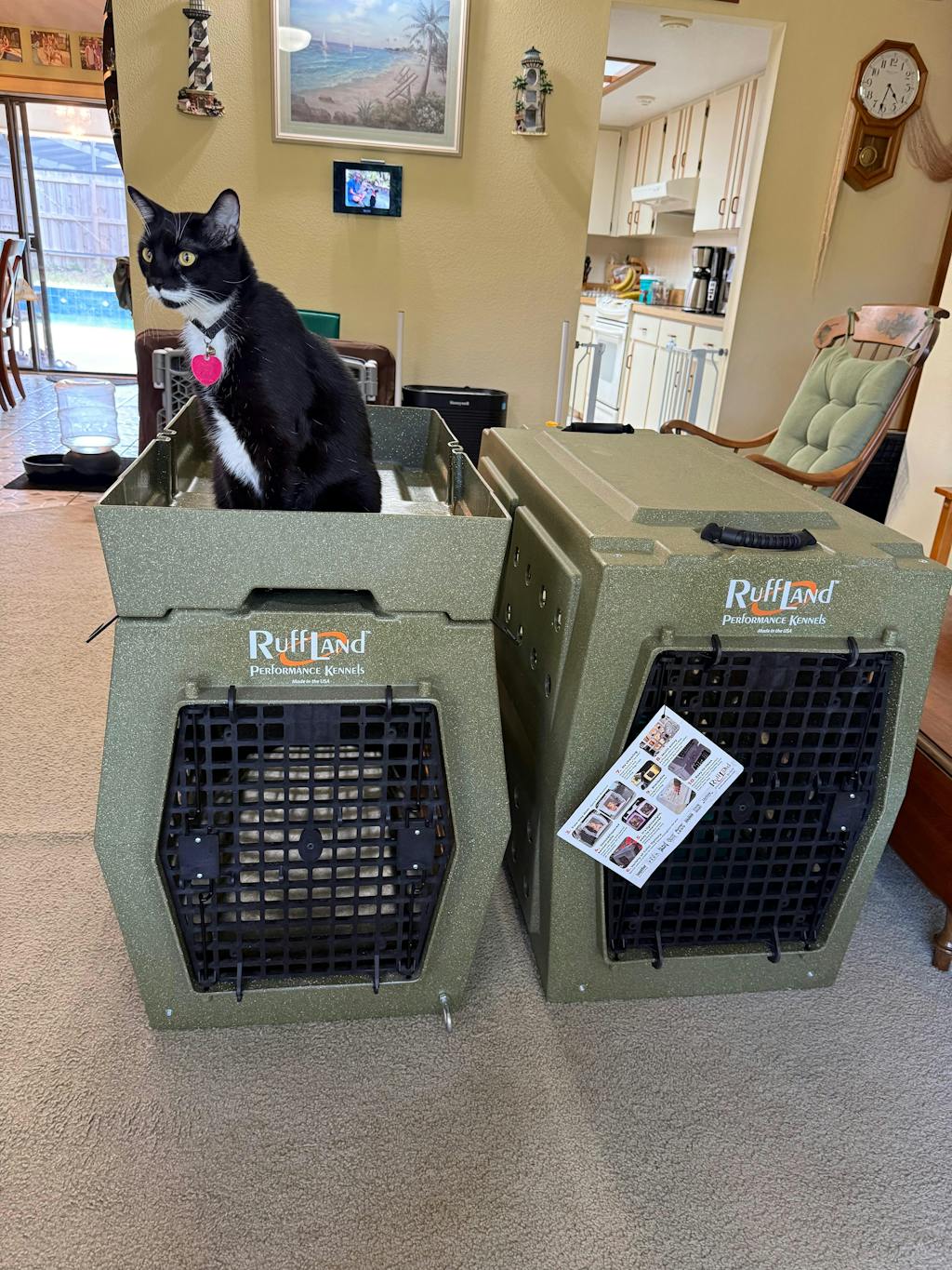 Pads for Ruff Land Kennels™ | Primo Pads