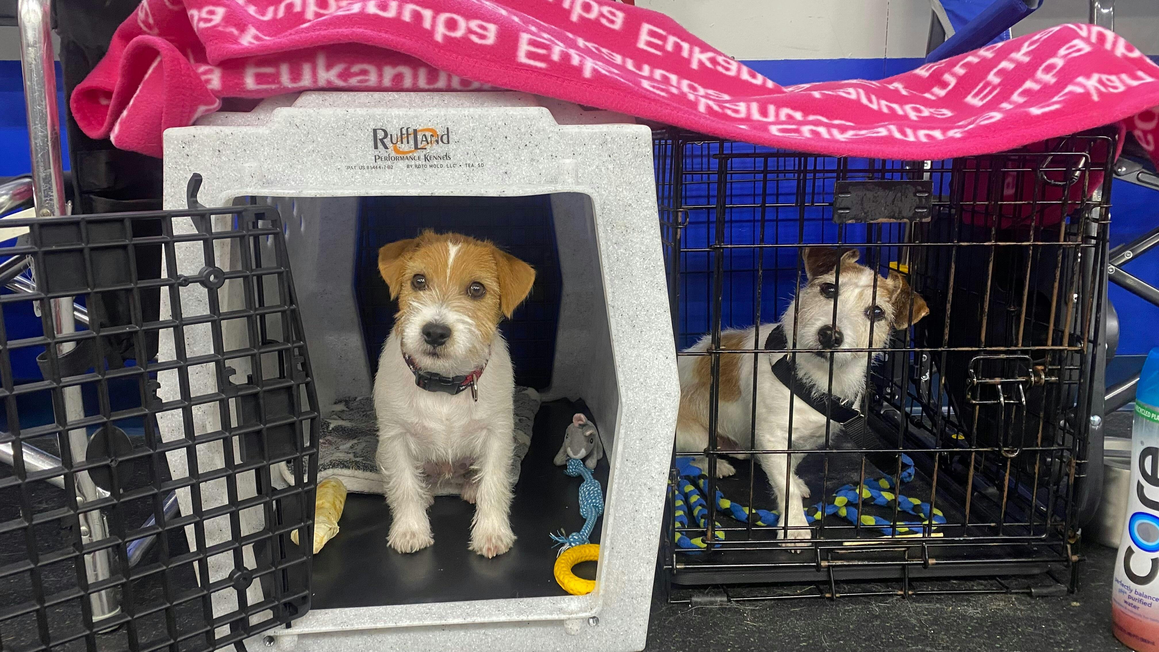 Wire Crate Pads | Primo Pads