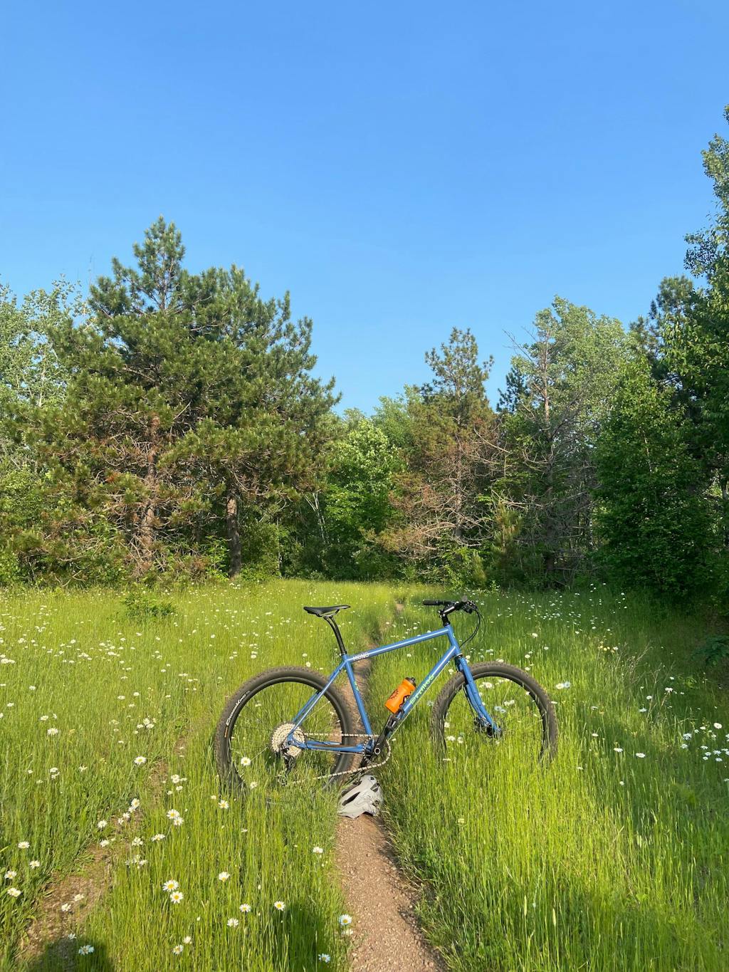 Mono Bicycle - Primos Cycles